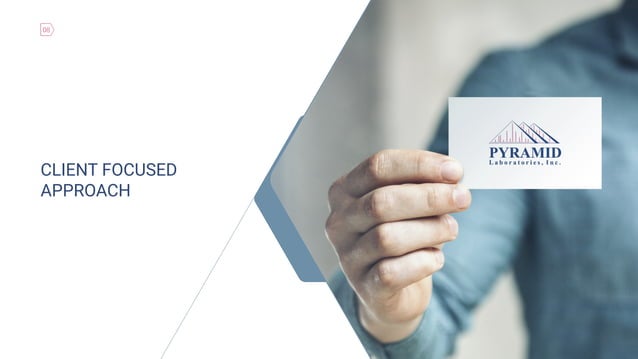 Pyramid Laboratories Overview | PPT