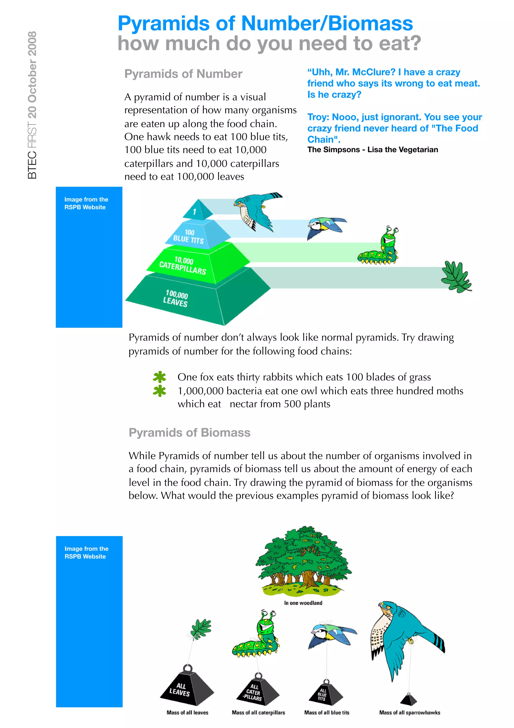 Pyramid Of Numbers And Biomass | PDF