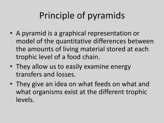 Pyramids | PPT