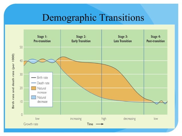 Pyramids and demographic transition | PPT