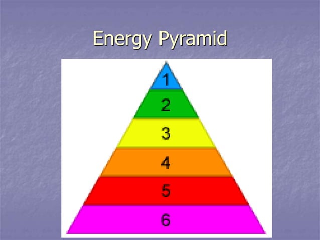 Pyramids Energy_ biomass_ numbers (2).ppt