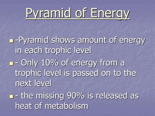 Pyramids Energy_ biomass_ numbers (2).ppt