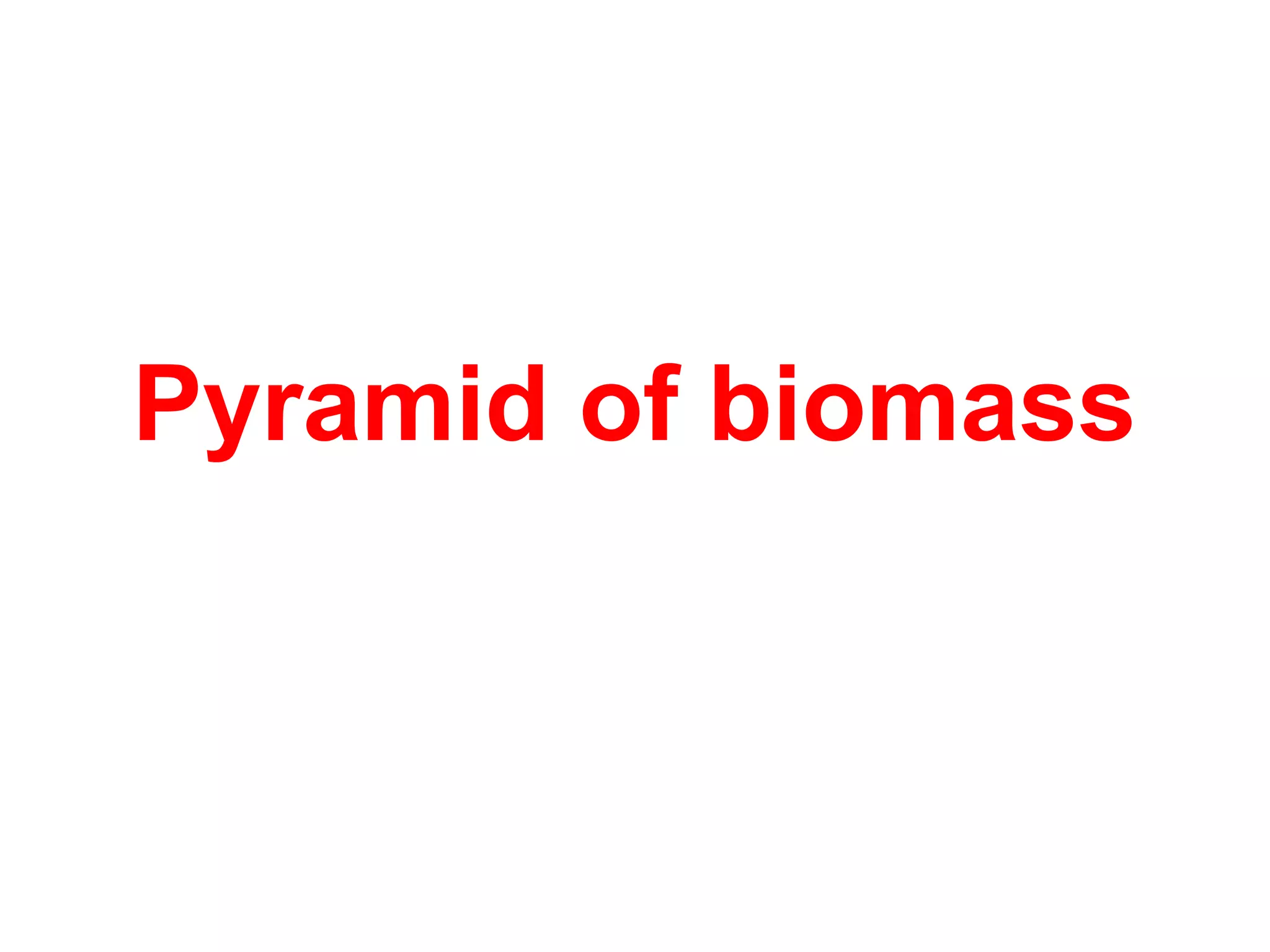 Pyramids of biomass | PPT