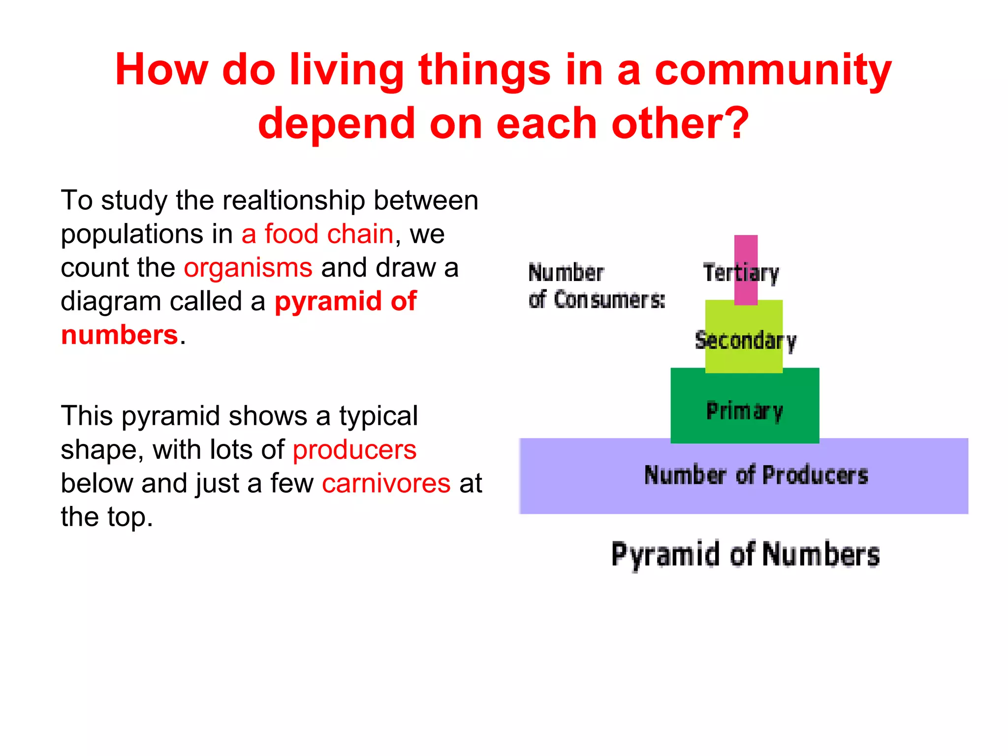 Pyramids of biomass | PPT