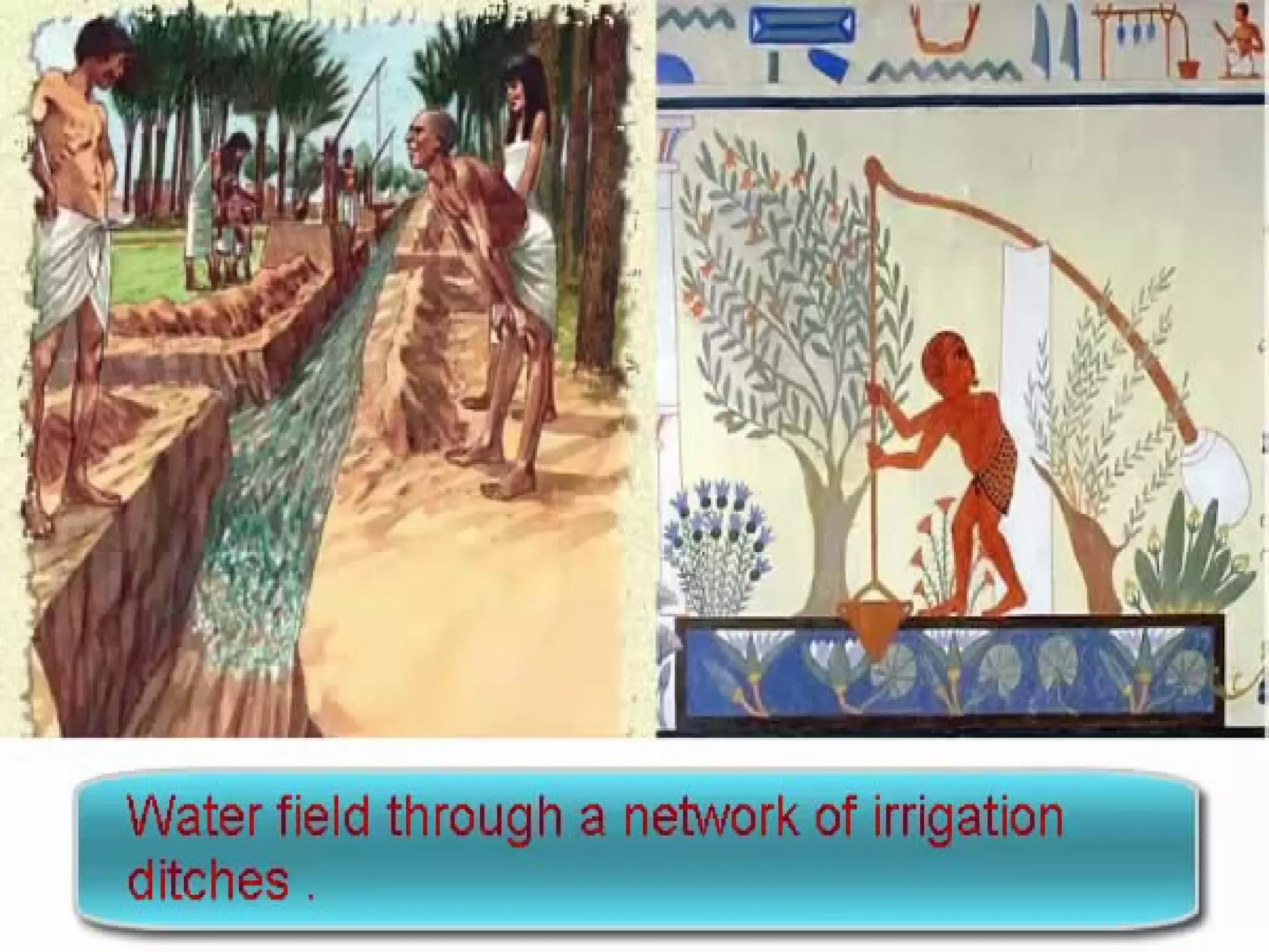 Pyramids on the nile | PPT