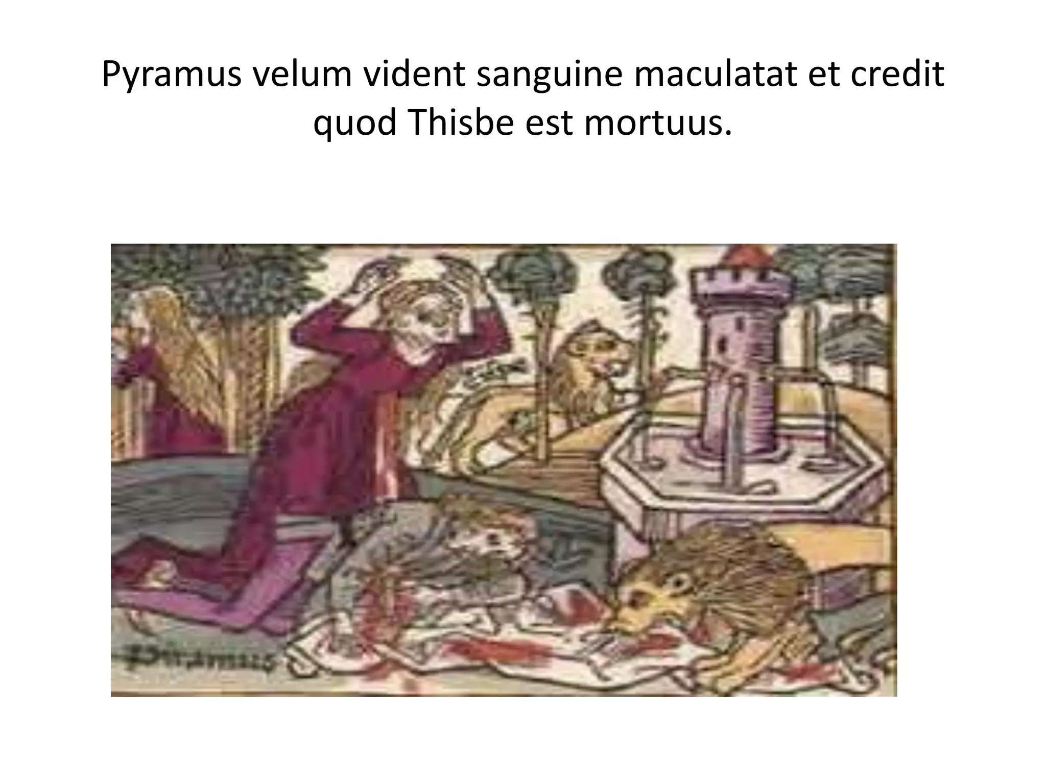 Pyramus et thisbe | PPTX