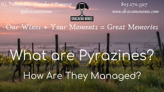 Pyrazine.pptx