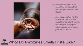 Pyrazine.pptx