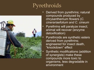 Pyrethroids | PPT