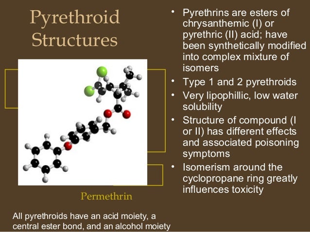 Pyrethroids