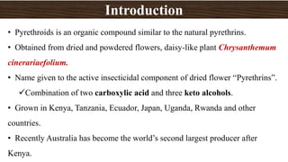 Pyrethroids | PPTX