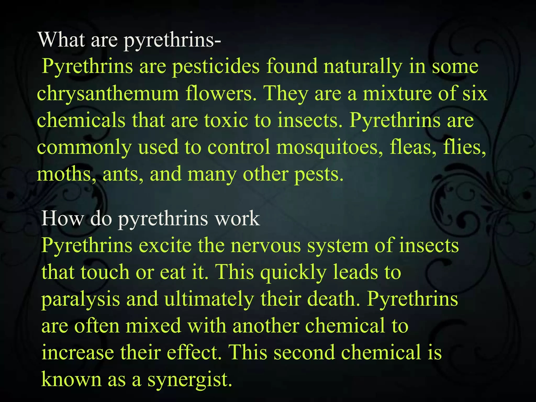 Pyrethrum | PPTX