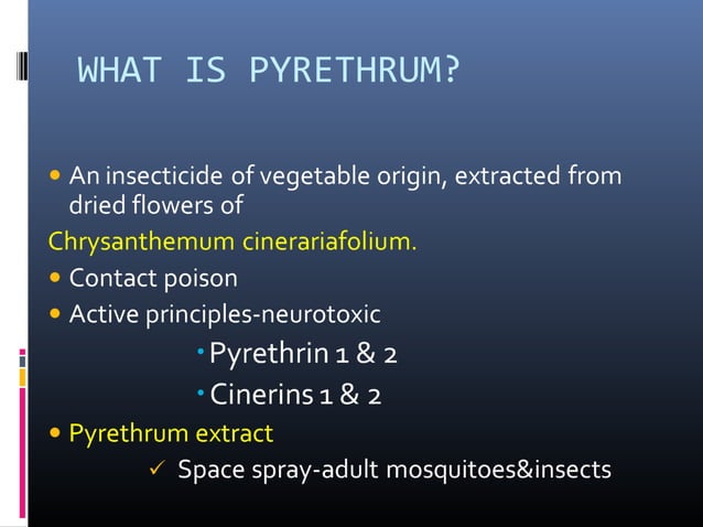 Pyrethrum and synthetic pyrethroids | PPT | Chemistry | Science