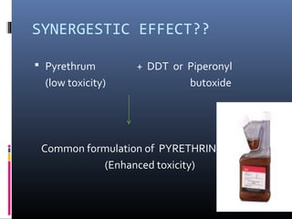 Pyrethrum and synthetic pyrethroids | PPT