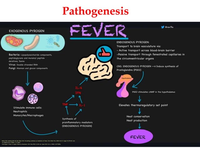 Pyrexia, ophthalmic symptoms and Worm Infestations | PPTX