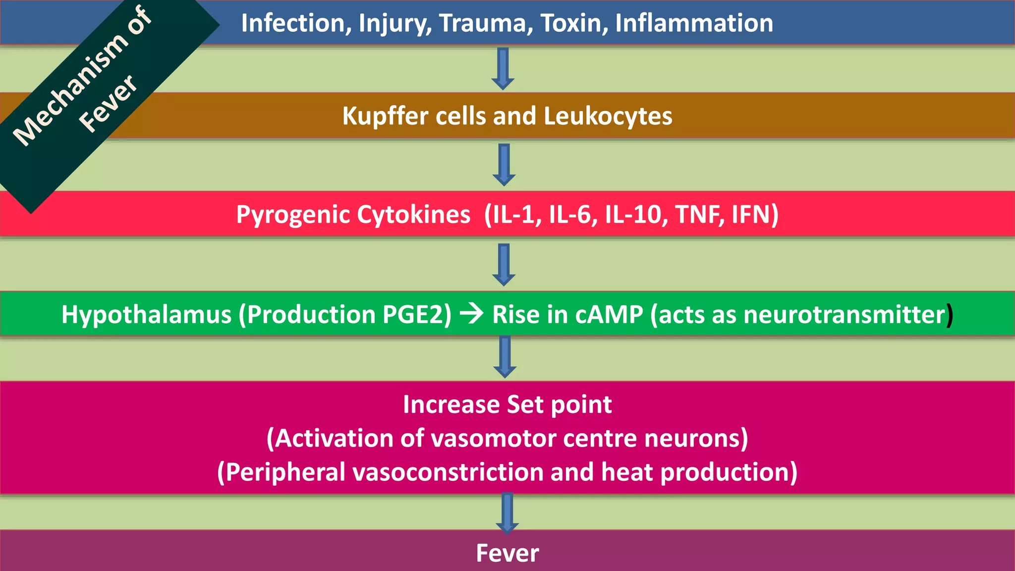 Pyrexia of Unknown Origin | PPTX