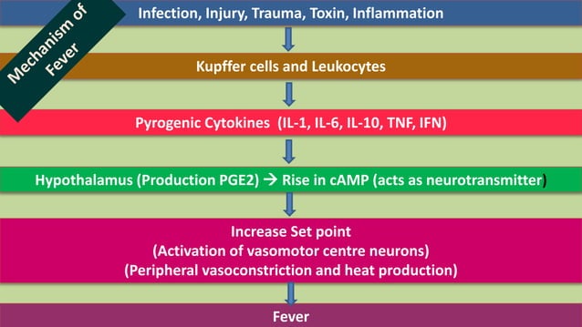 Pyrexia of Unknown Origin | PPTX