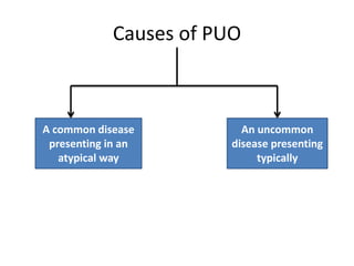 Pyrexia of unknown origin presentaion .pptx