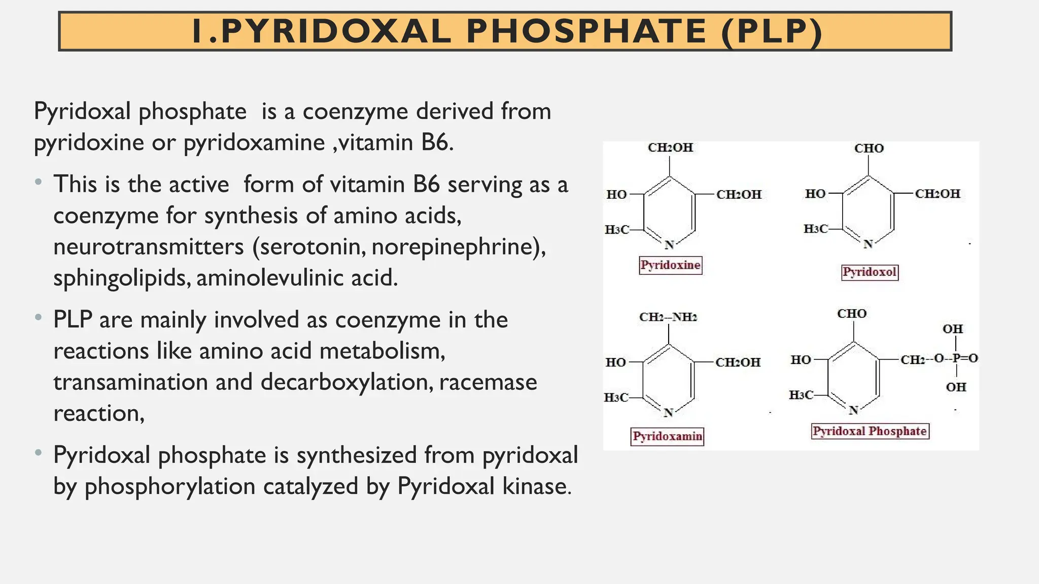 Pyridoxal phosphate and biotin as coenzymes and its functionspptx | PPTX