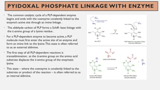 Pyridoxal phosphate and biotin as coenzymes and its functionspptx | PPTX