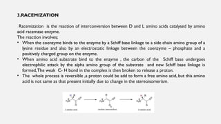 Pyridoxal phosphate and biotin as coenzymes and its functionspptx | PPTX