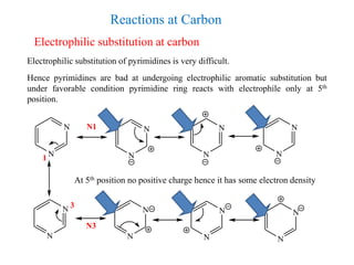 Pyrimidine | PPTX