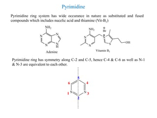 Pyrimidine | PPT
