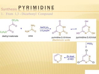 Pyrimidine | PPTX