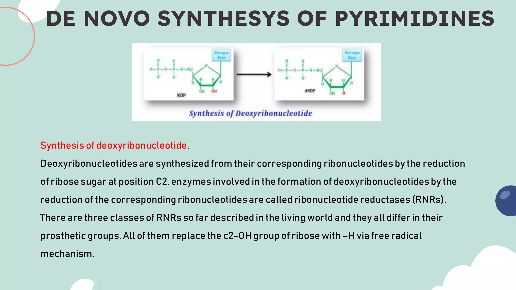 Pyrimidine Metabolism, Biosynthesis and catabolism | PPTX