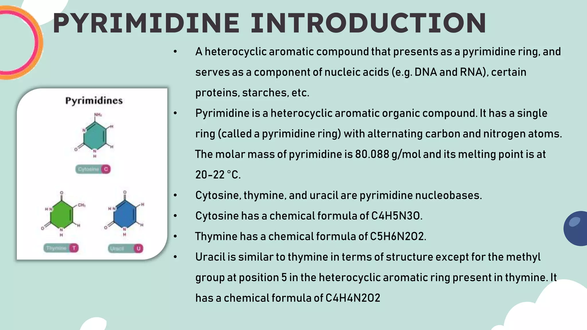 Pyrimidine Metabolism, Biosynthesis and catabolism | PPTX