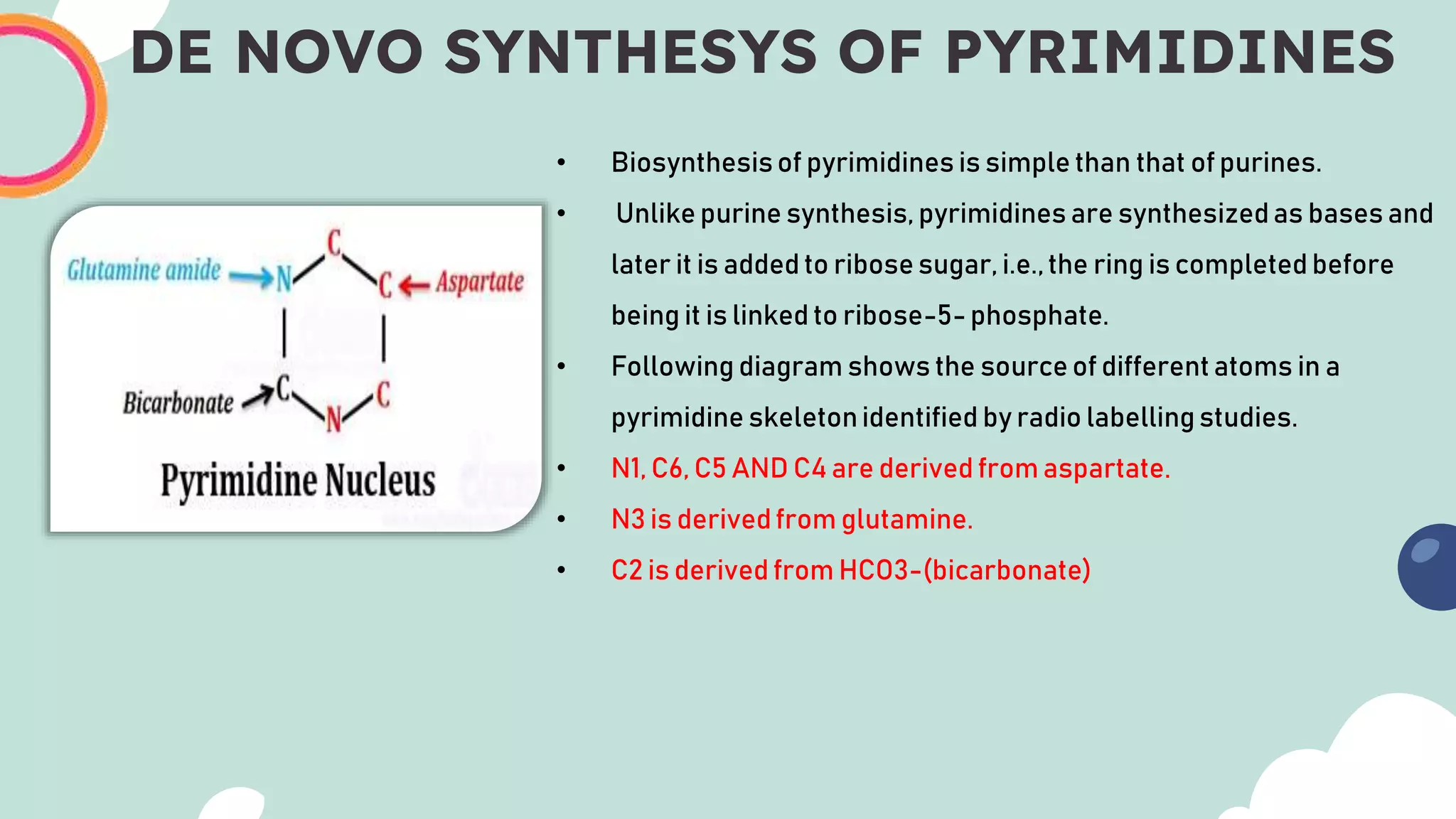 Pyrimidine Metabolism, Biosynthesis and catabolism | PPTX