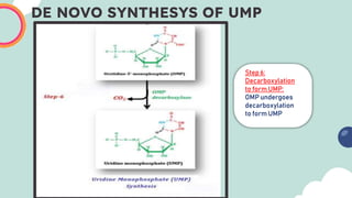 Pyrimidine Metabolism, Biosynthesis and catabolism | PPTX