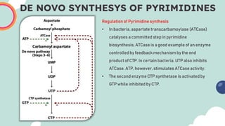 Pyrimidine Metabolism, Biosynthesis and catabolism | PPTX