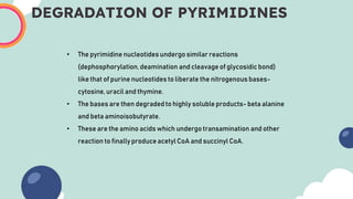 Pyrimidine Metabolism, Biosynthesis and catabolism | PPTX