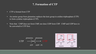 Pyrimidine bio synthesis | PPTX