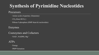 Pyrimidine bio synthesis | PPTX