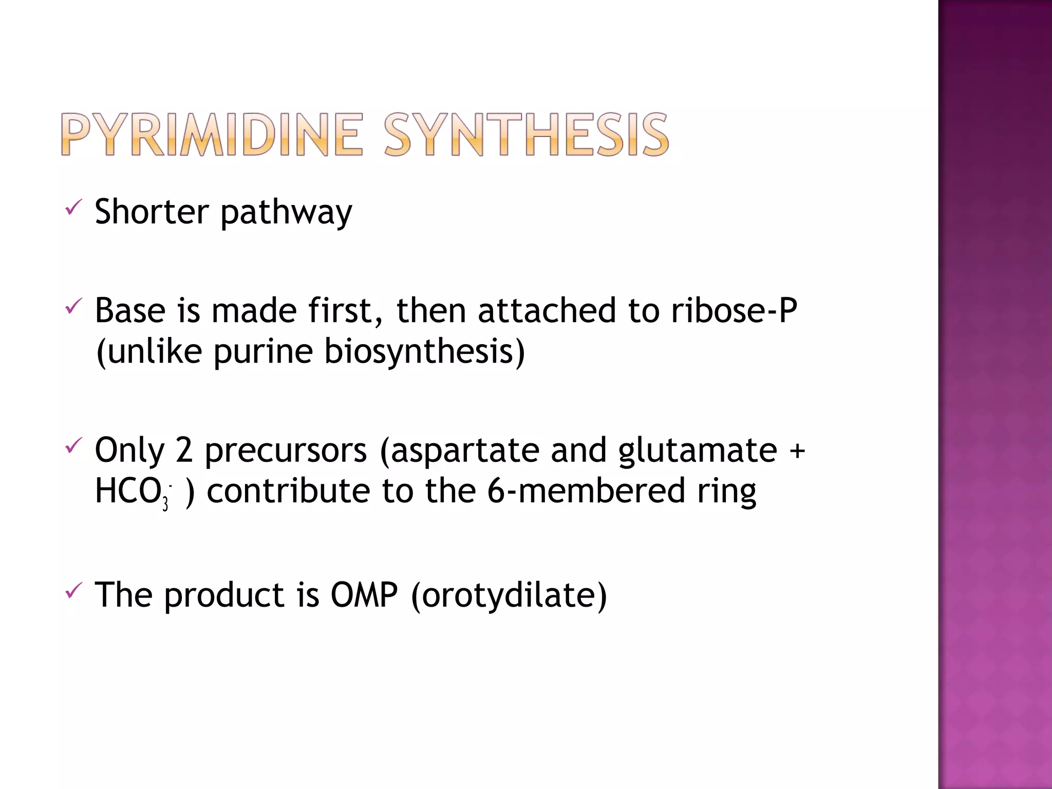 Pyrimidine metabolism | PPT