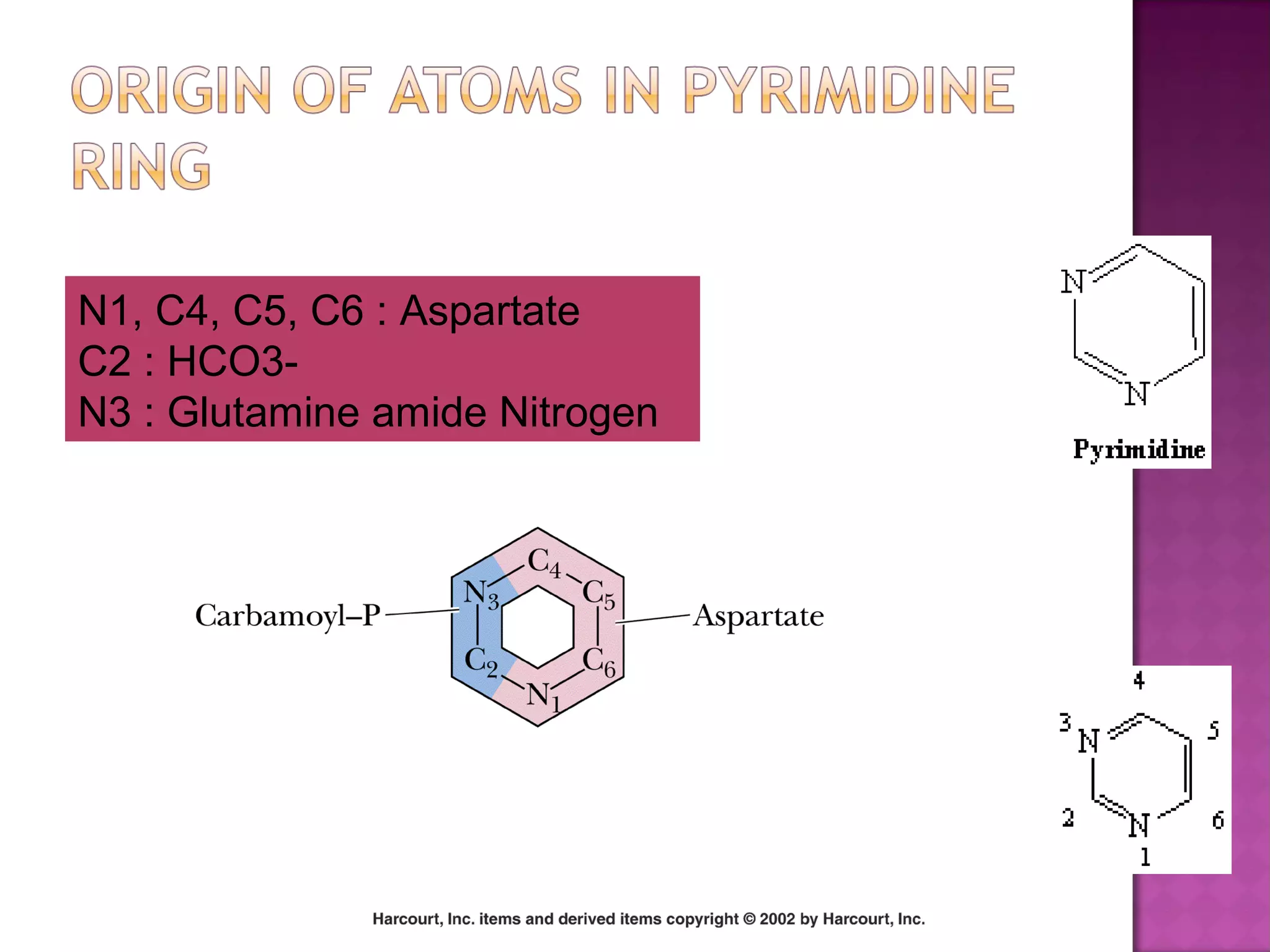 Pyrimidine metabolism | PPT