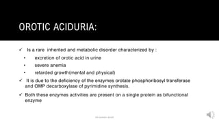 P yri midine metabolism | PPT