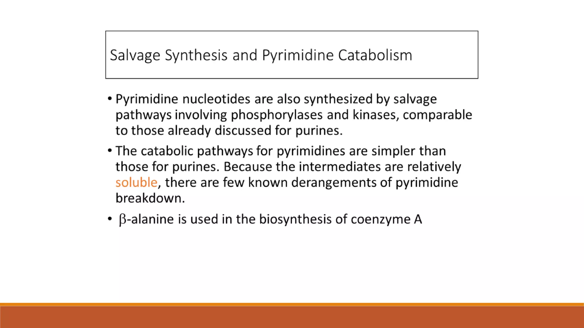 pyrimidine metabolism.pptx | Free Download