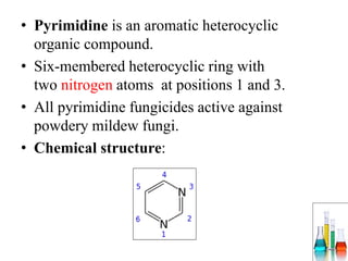 Pyrimidines | PPTX