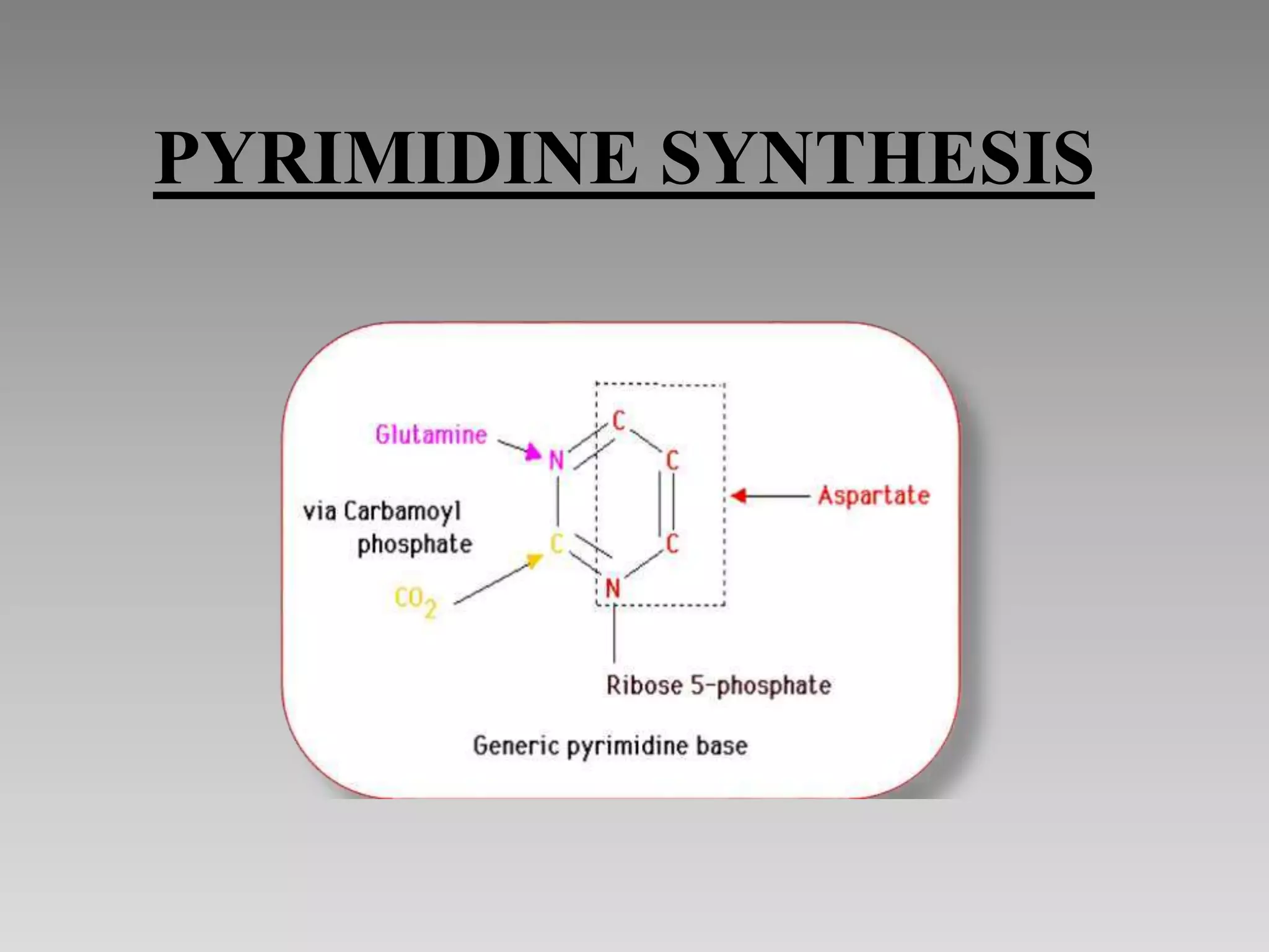 PYRIMIDINE SYNTHESIS | PPTX