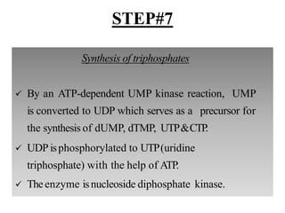 PYRIMIDINE SYNTHESIS | PPTX
