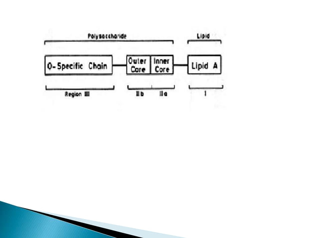 Pyrogen 112070804004 | PPTX | Infectious Diseases | Diseases and Conditions