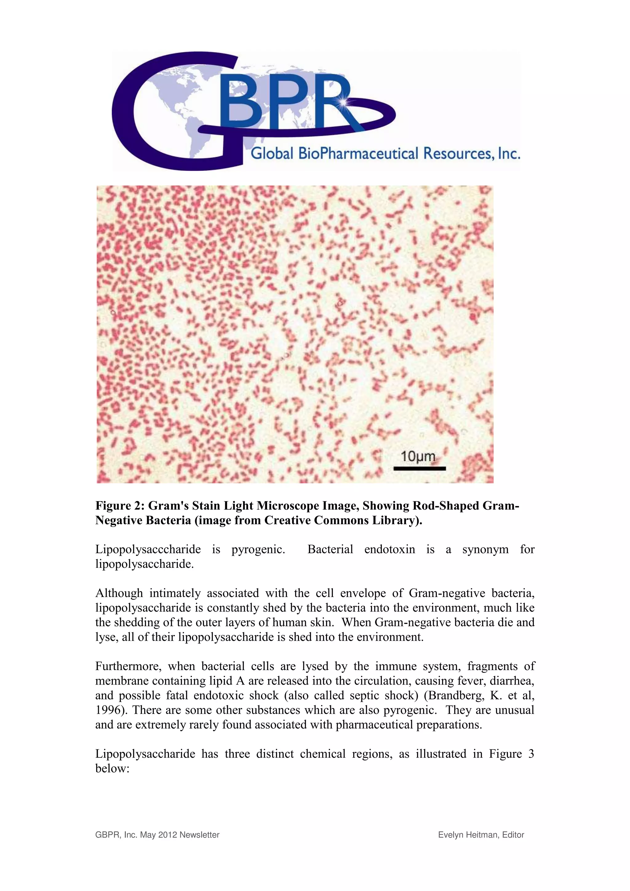 Pyrogen article | PDF