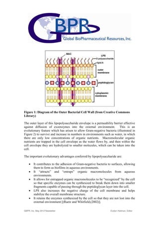 Pyrogen article | PDF