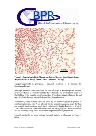 Pyrogen article | PDF