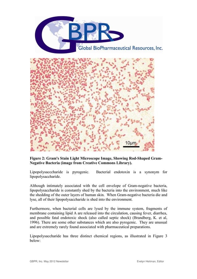 Pyrogen article | PDF