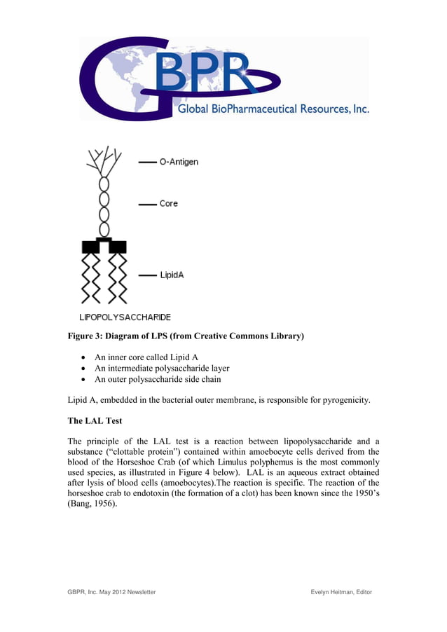 Pyrogen article | PDF