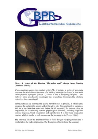 Pyrogen article | PDF